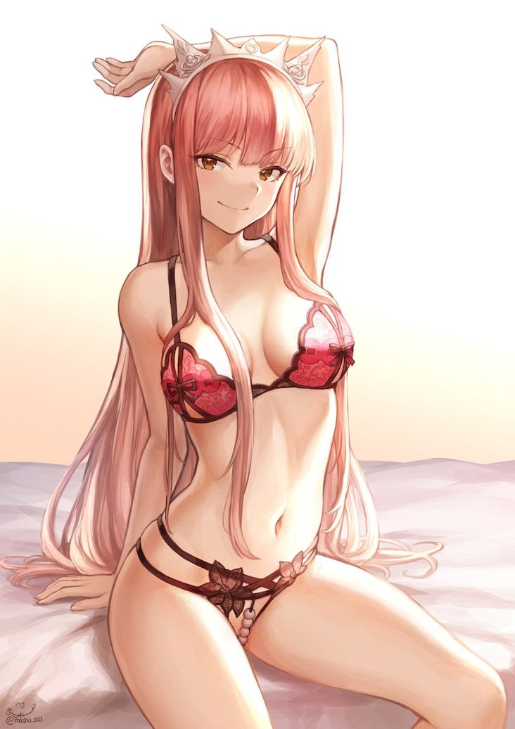 Dessins Collection Lingerie Fate Grand Order